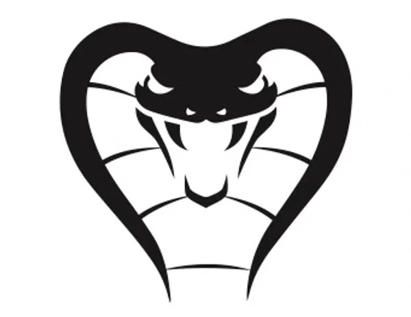 National Championship Sports | Baseball | Venom Baseball Academy | 11U D2