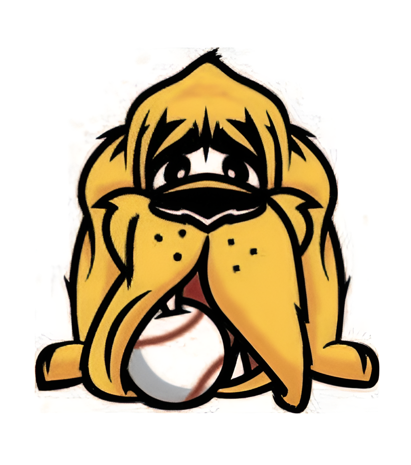 National Championship Sports | Baseball | Hounds Baseball | 10U D3