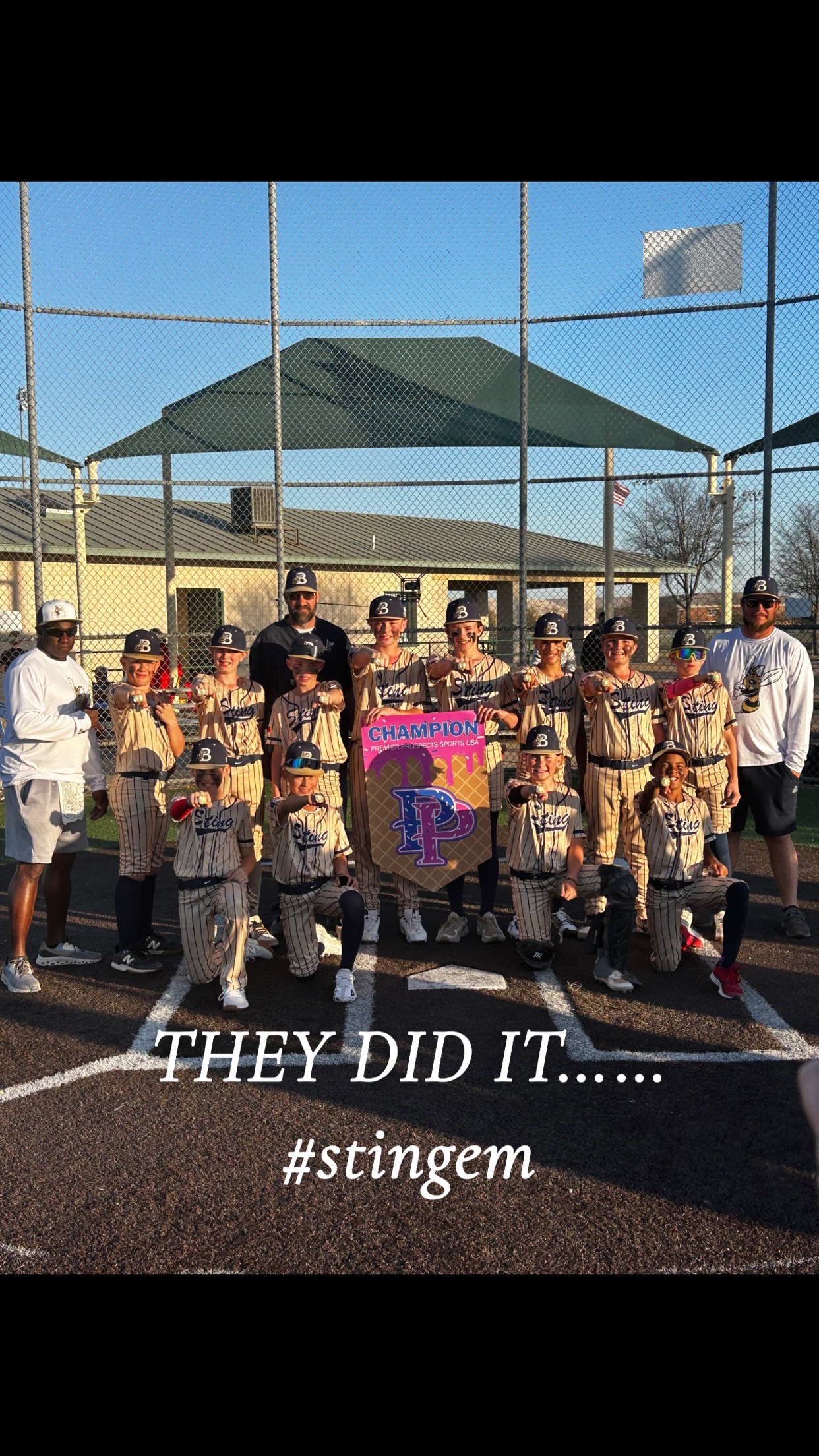 National Championship Sports | Baseball | Brownwood Sting | 12U D3