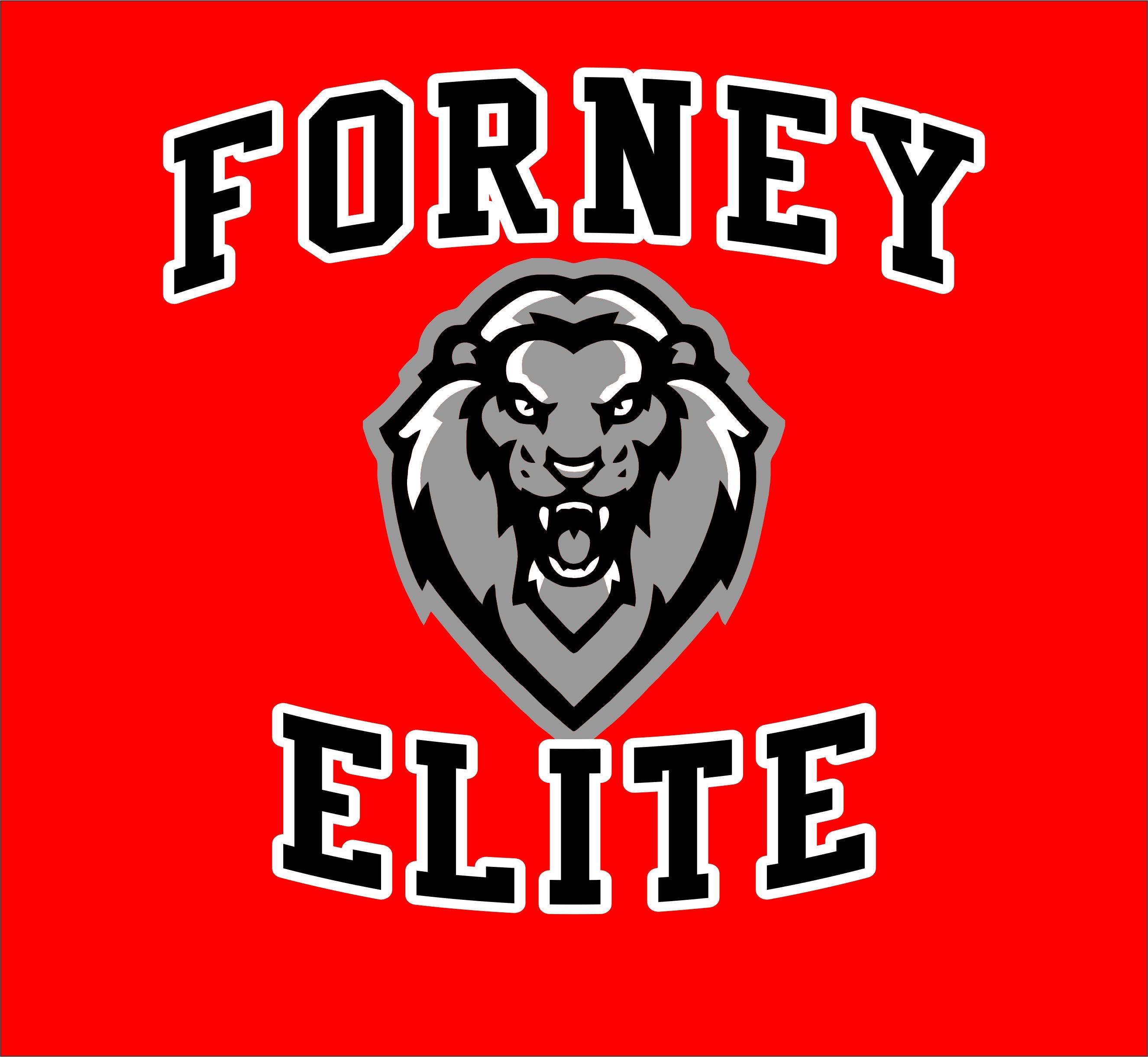 National Championship Sports | Baseball | Forney Elite Lions | 6U REC