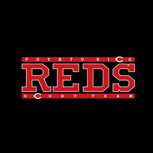 National Championship Sports | Baseball | PR Reds Scout Team | 14U D2