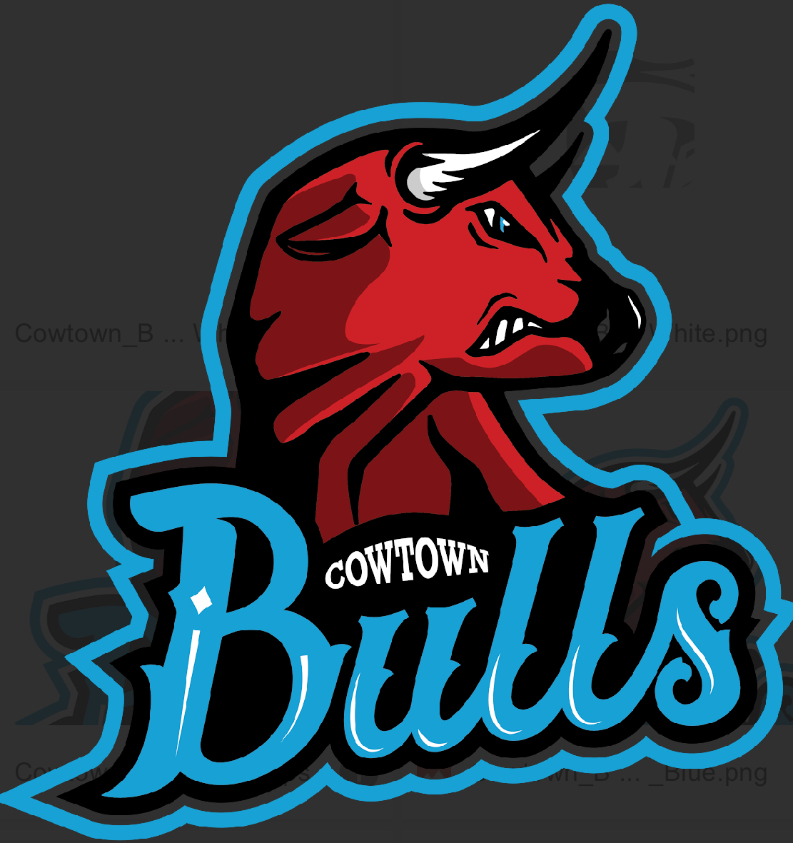 National Championship Sports | Baseball | Cowtown Bulls 8U | 8U D3 CP