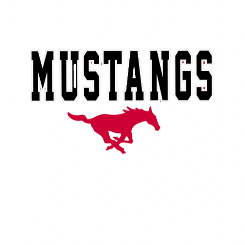 National Championship Sports | Fastpitch | Mustangs | 14U C