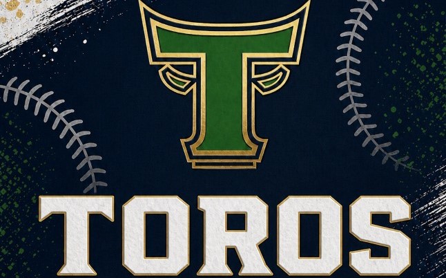 National Championship Sports | Baseball | Morgan Hill Toros 9U | 9U D2