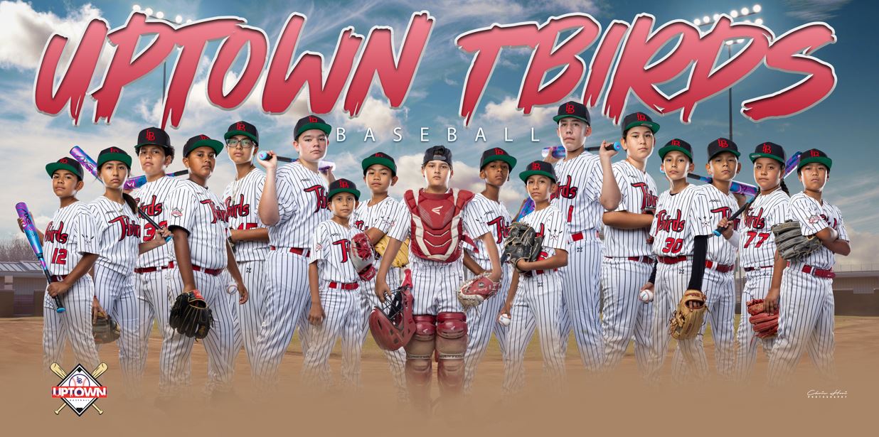 National Championship Sports | Baseball | T-Birds | 13U D3