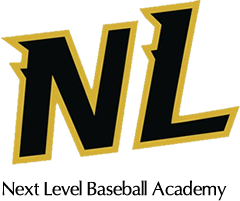 National Championship Sports | Baseball | Next Level Storm | 10U D2