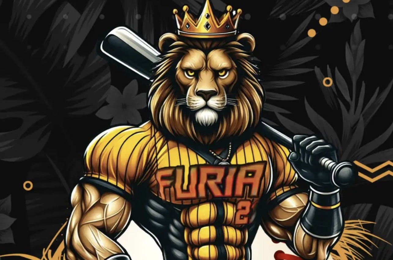 National Championship Sports | Baseball | Furia Baseball Black | 10U D3