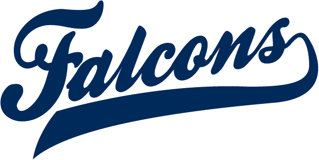 National Championship Sports | Baseball | Falcons Baseball 10U BLUE ...