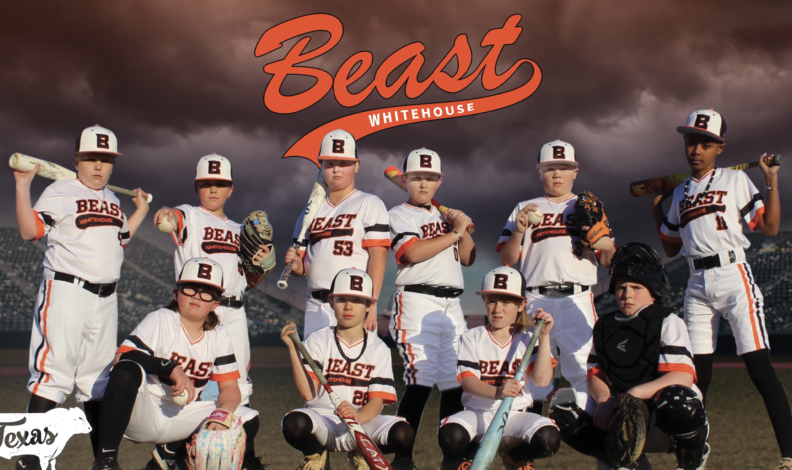 National Championship Sports | Baseball | Beast | 11U D2