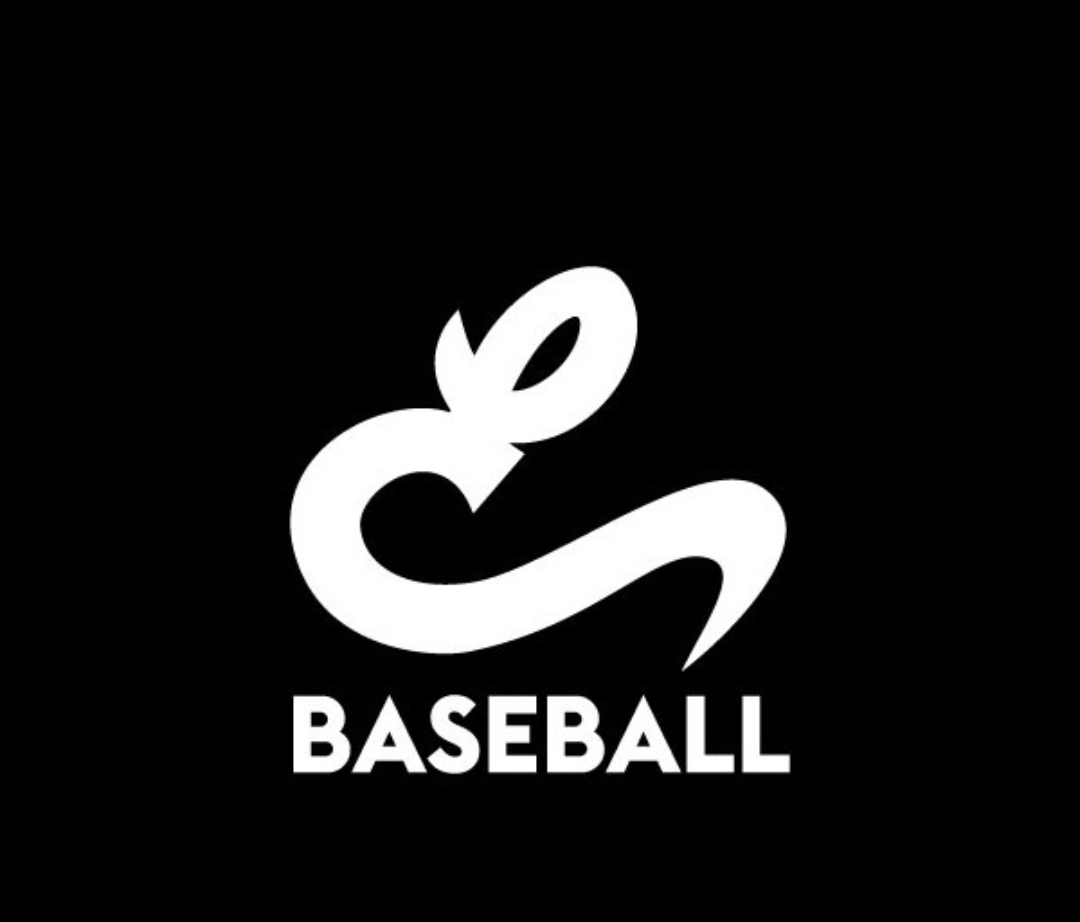 National Championship Sports | Baseball | Texas Edge - Nicholas | 13U D2