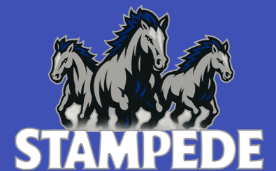 National Championship Sports | Fastpitch | Stampede | 10U C