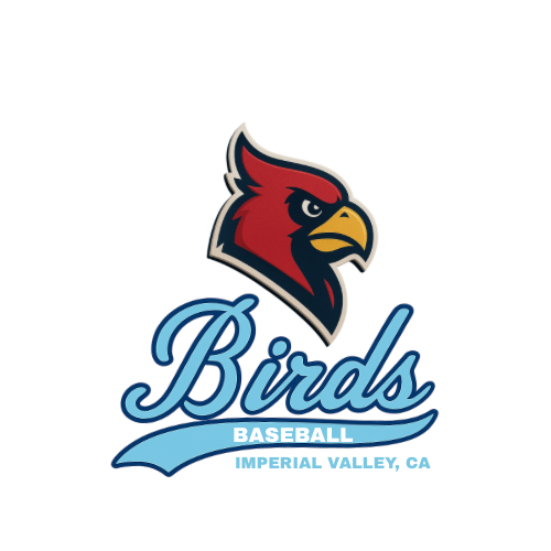 National Championship Sports | Baseball | Birds Baseball | 11U D3