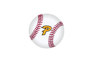 National Championship Sports | Baseball | Puma Baseball 13U Black | 13U D2