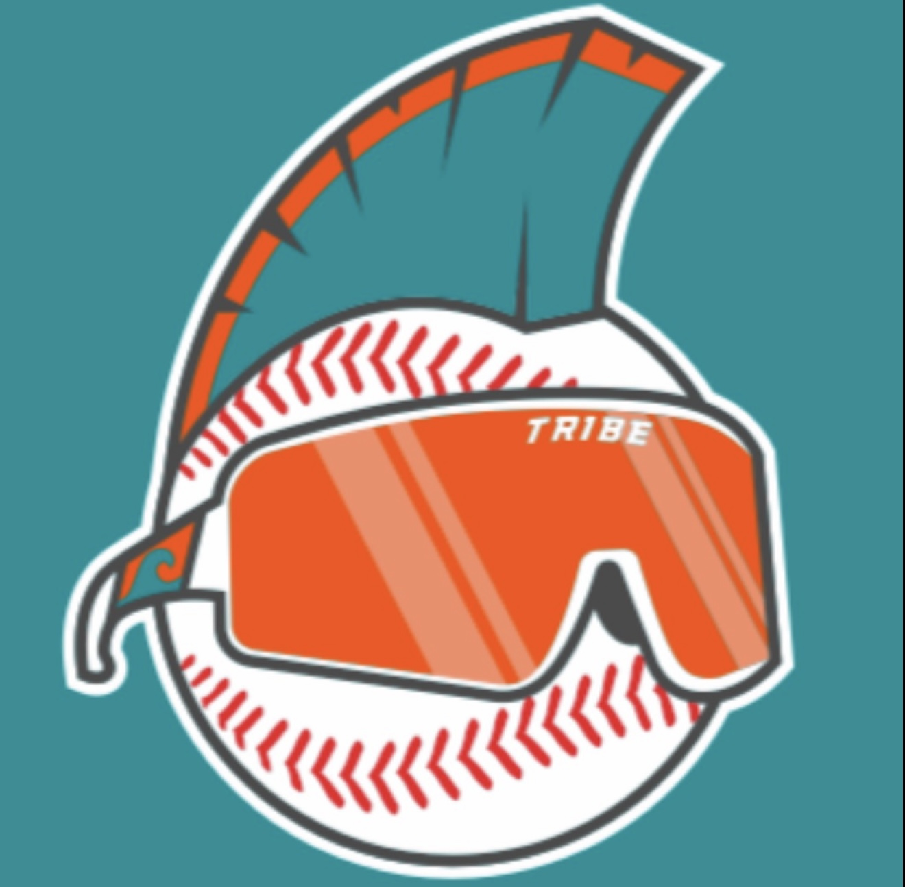 National Championship Sports | Baseball | CC Tribe | 9U D2
