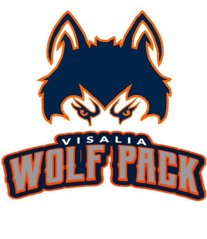 National Championship Sports | Baseball | Visalia Wolf Pack | 13U D1