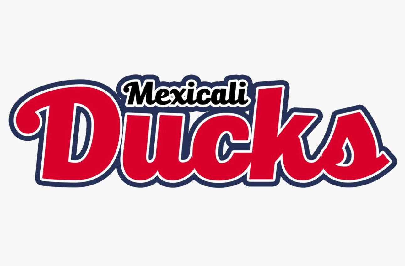 National Championship Sports | Baseball | DUCKS MXL | 12U D2