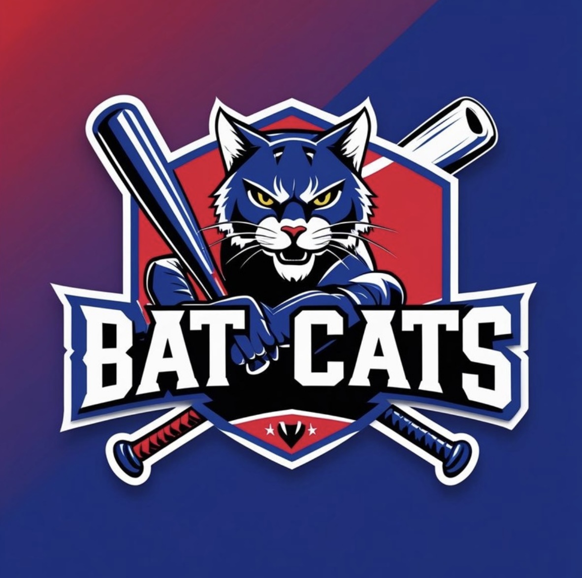 National Championship Sports | Fastpitch | Batcats | 9U C-REC