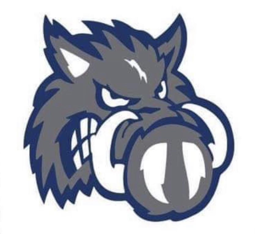 National Championship Sports | Baseball | Ballhogs | 10U D2