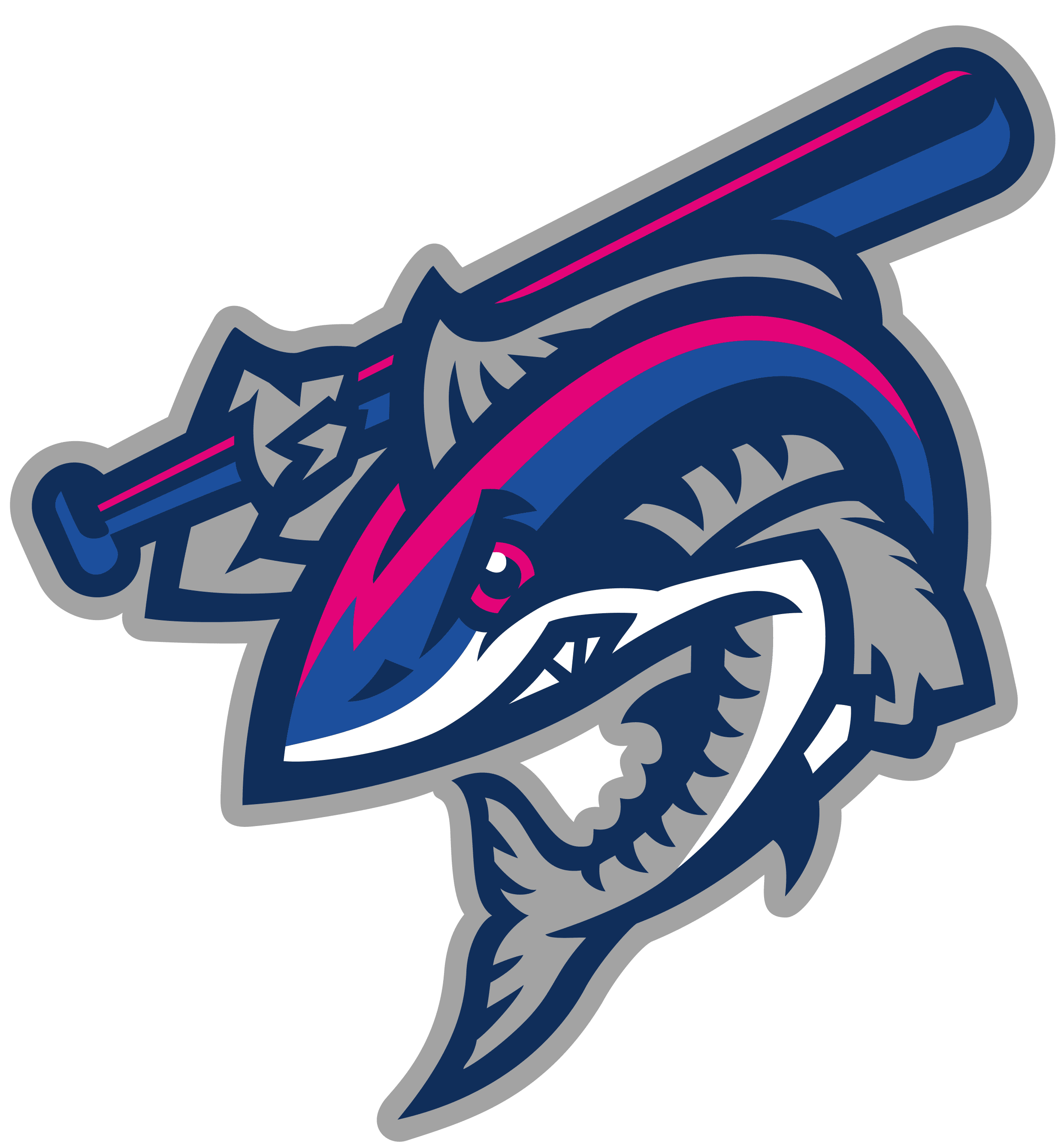 National Championship Sports | Baseball | Blue Wahoos | 10U D3