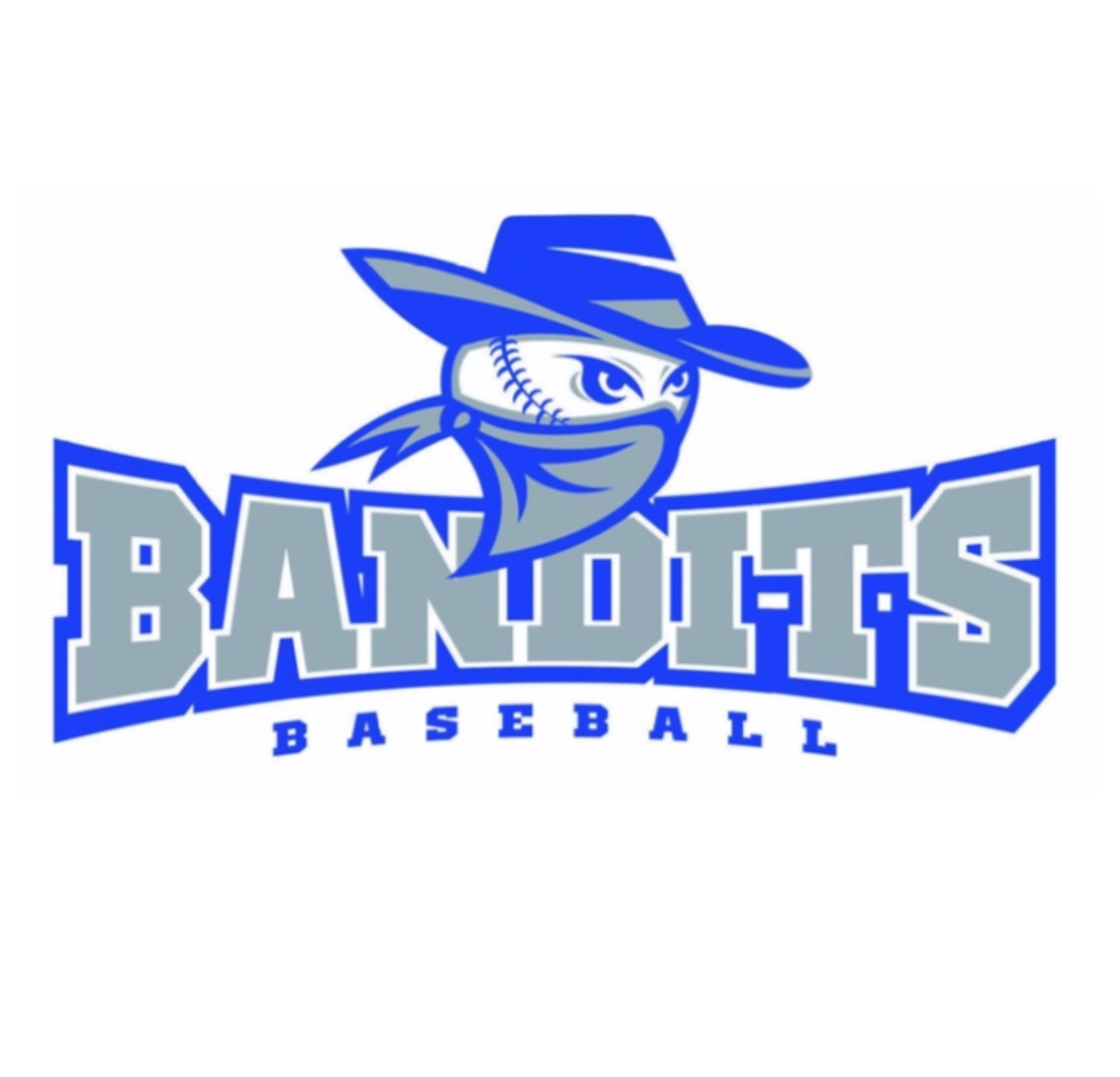 National Championship Sports | Baseball | Blount Bandits | 12U D3