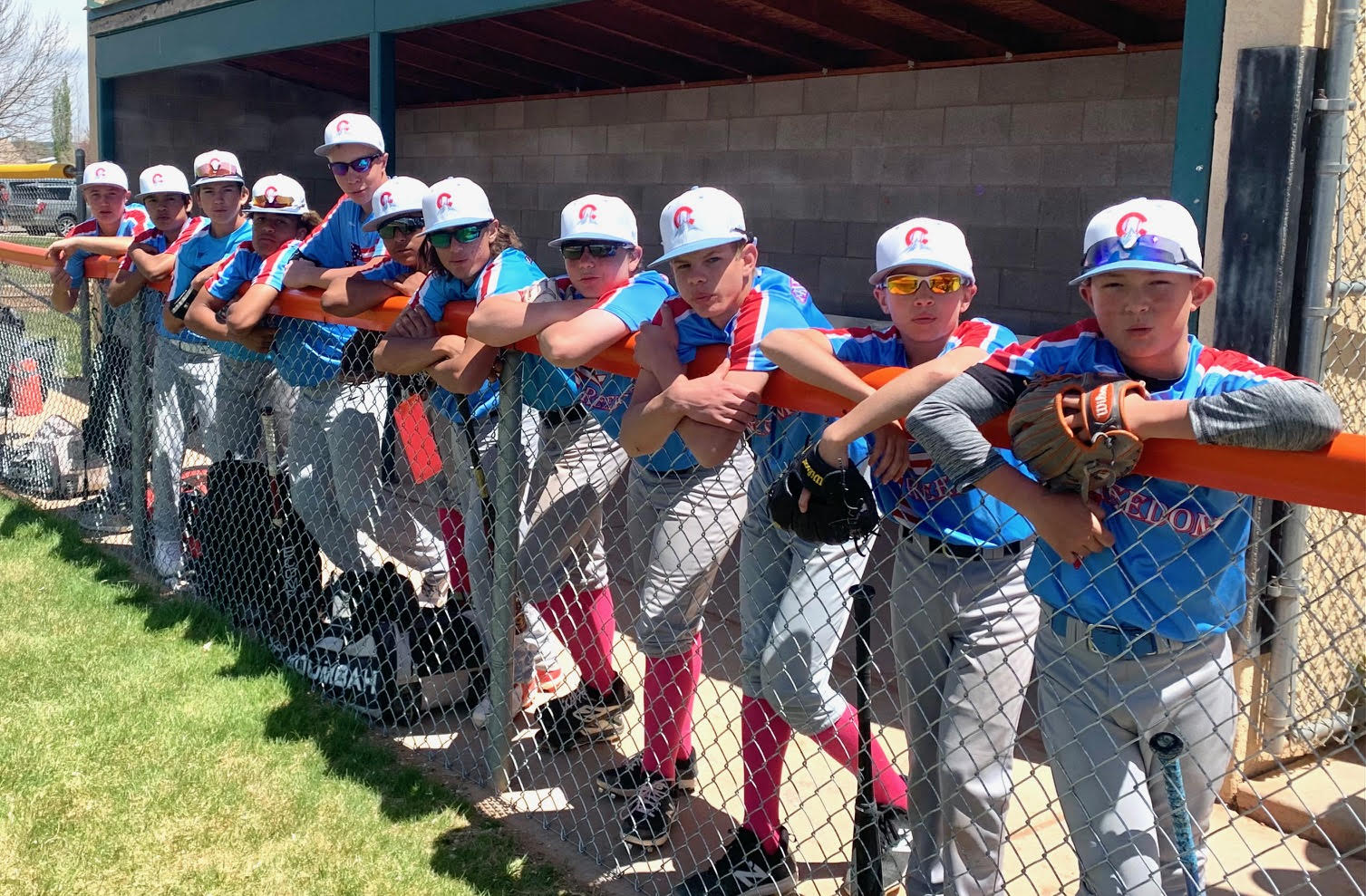 National Championship Sports | Baseball | Freedom Pack | 14U D3