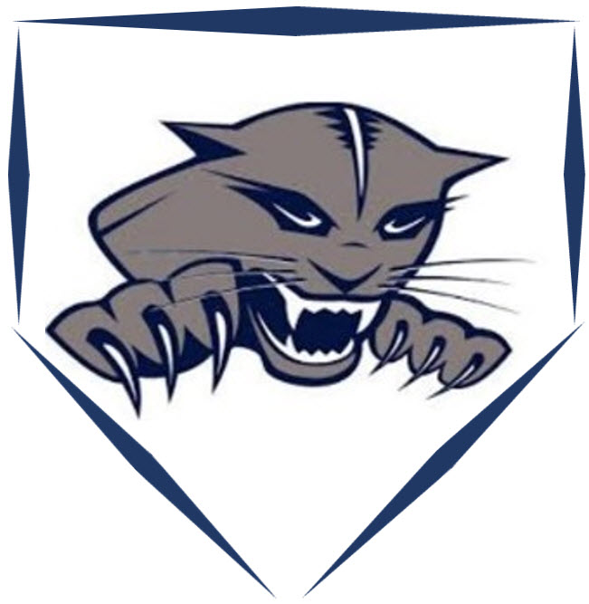 National Championship Sports | Baseball | Az Prowlers Black | 15U D1