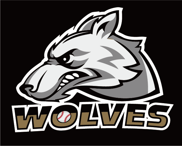 National Championship Sports | Baseball | Northwestern Wolves | 14U D3