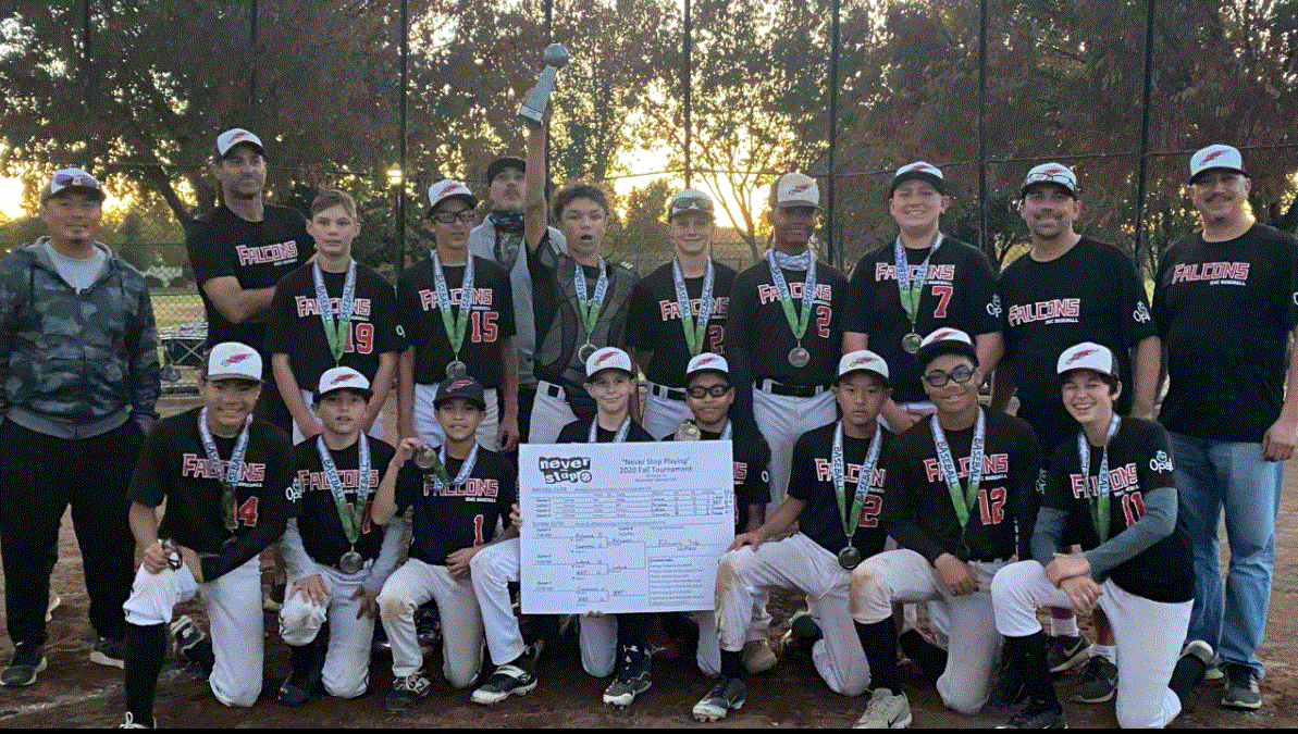 National Championship Sports | Baseball | Falcons | 13U D3